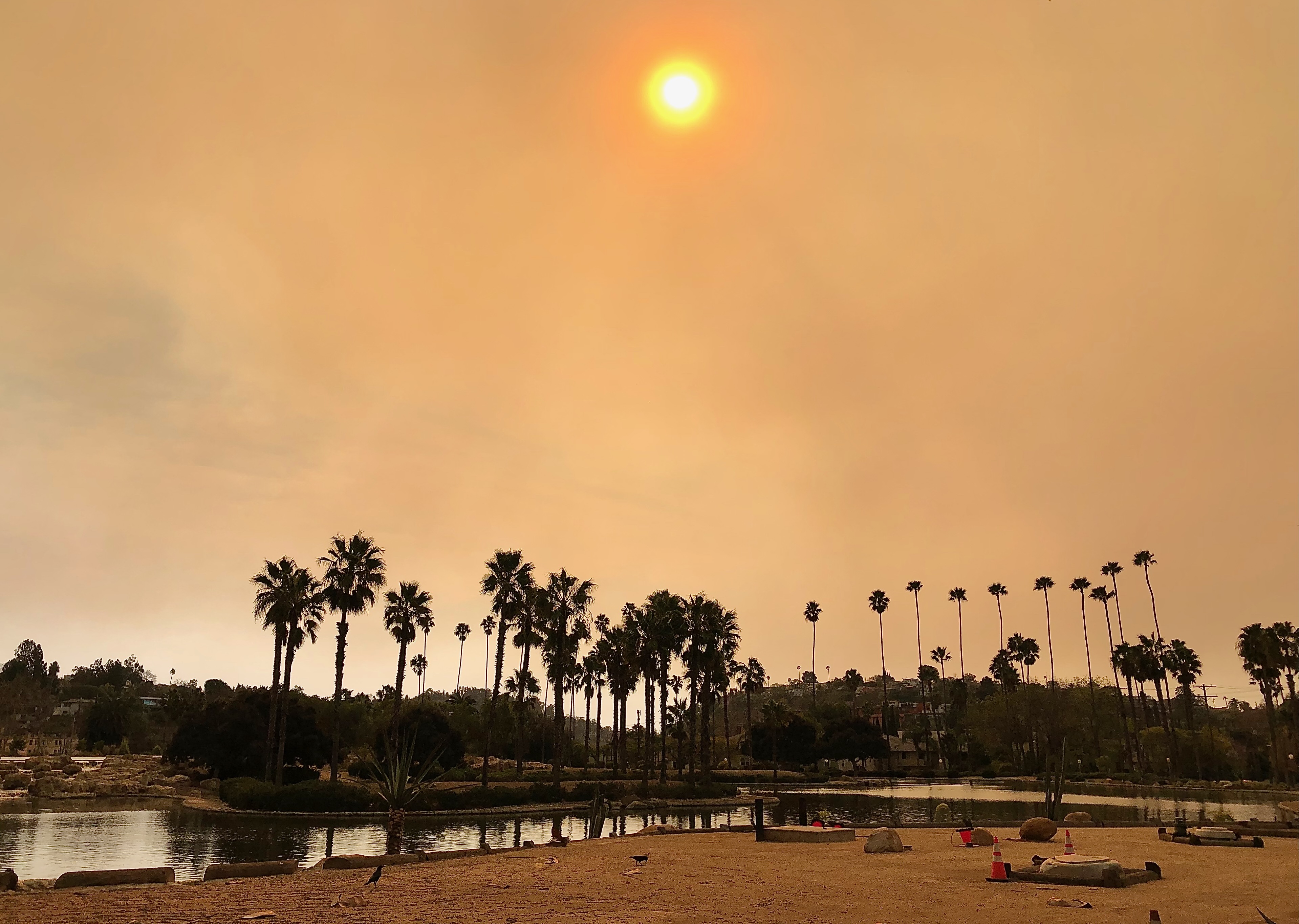 Outdoor Workers Vulnerable to Being Left Behind in Wildfire Recovery ...