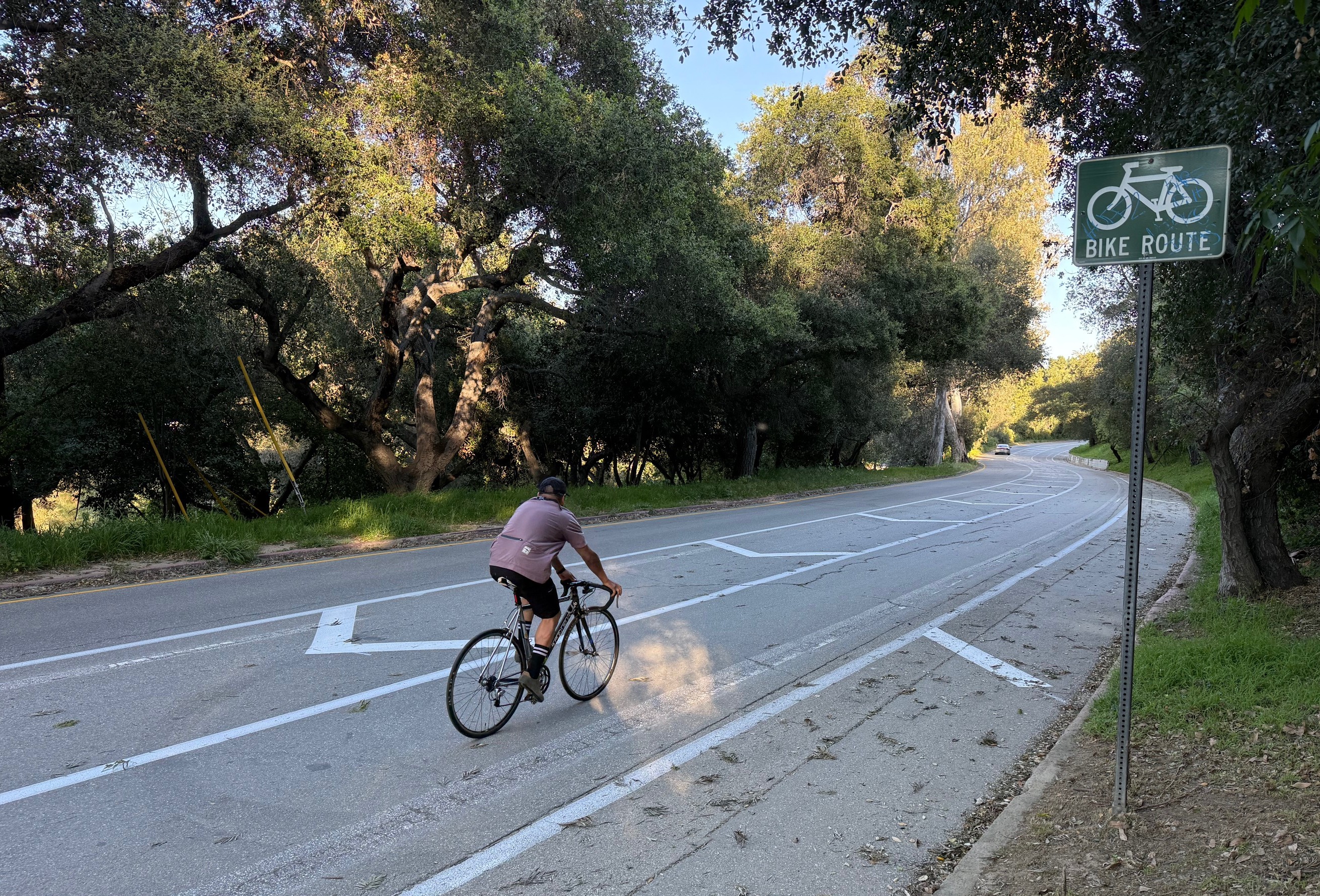 Bike Updates: Griffith Park, Chandler, Terra Bella, and Westside Plans ...